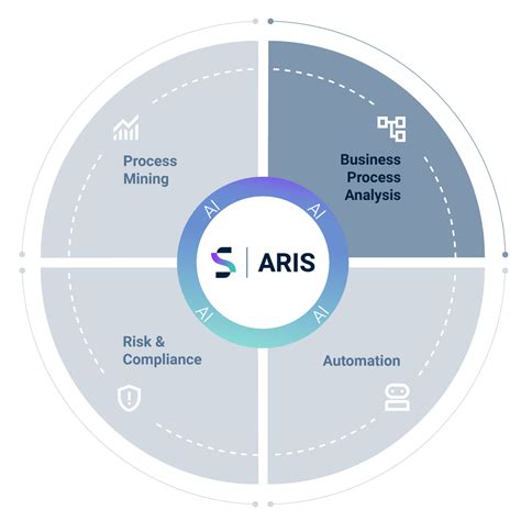 Business Process Analysis Aris