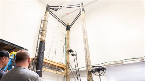 Treestands Fall Arrest Harnesses And Lifelines SGS TEC Services