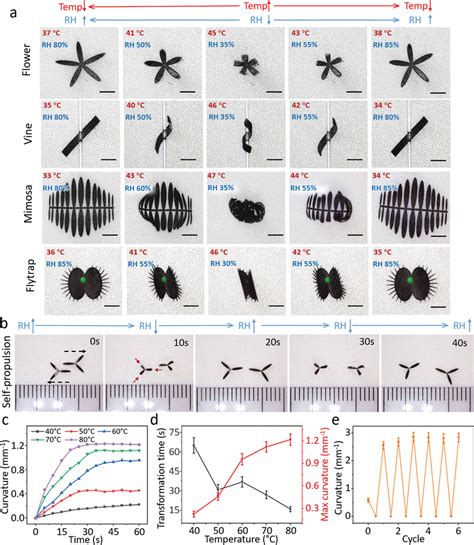Bioinspired Shape Morphing Demonstrations As A Function Of The Download Scientific Diagram