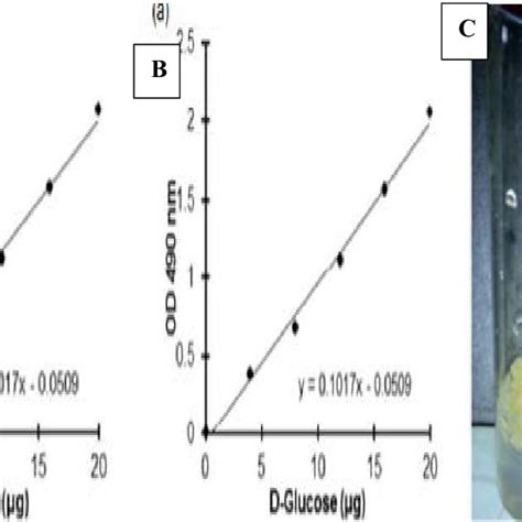 A D Glucose Standard Curve B Standard Curve Of Proline C Callus Image