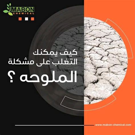 Mohamed Abd Elslam Posted On Linkedin