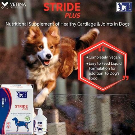 Stride Plus 200ml for dogs & cats - LoyalPetZone India