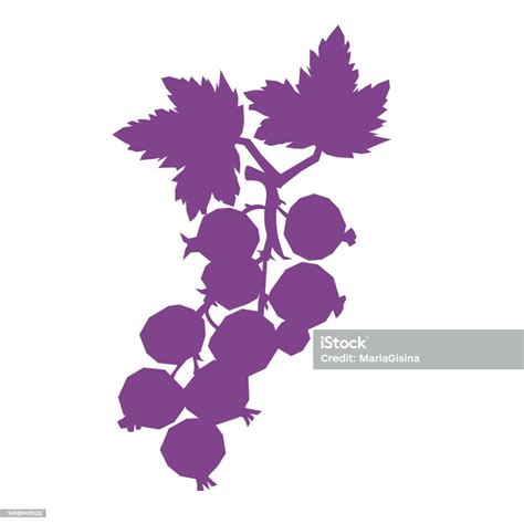 나뭇가지에 매달려 있는 건포도 열매의 검은 실루엣 윤곽선이 분리되어 있다 검은색 까치밥나무 열매에 대한 스톡 벡터 아트 및 기타 이미지 검은색 까치밥나무 열매 실루엣