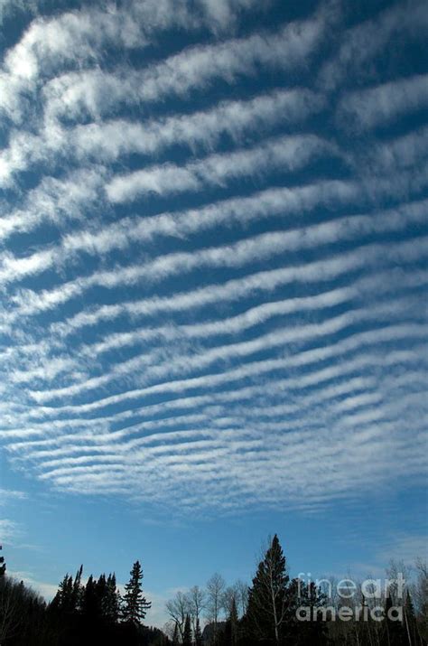 Altocumulus Undulatus Cloud Alchetron The Free Social Encyclopedia
