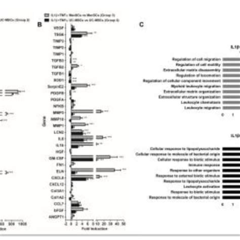 Illustrates A Differential Transcription Pattern Of Genes Associated