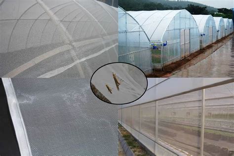 Insect Proof Netting Hebei Weichun Wire Mesh Trade Co Ltd