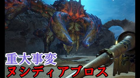 重大事変！ヌシディアブロス Youtube