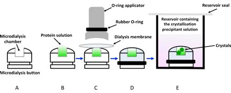 High Throughput Protein Crystallization Via Microdialysis Text Page