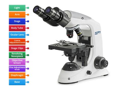 Microscope Labeling Labelled Diagram