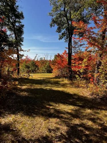 Best Hikes And Trails In Governor Knowles State Forest Alltrails