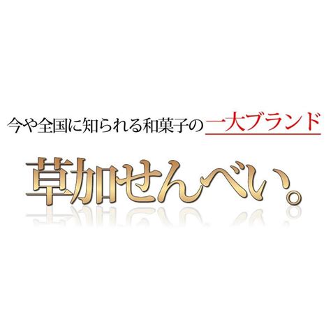 本場の本物 草加せんべい お歳暮 お中元 内祝 せんべい 草加煎餅 埼玉県キャラクターコバトン 名物 お土産アソート 17袋 ほりい ほりゐ