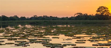 Bonito E Pantanal Destinos Que Você Não Pode Perder Tz Viagens