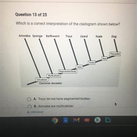 Solved Which Is A Correct Interpretation Of The Cladogram Shown