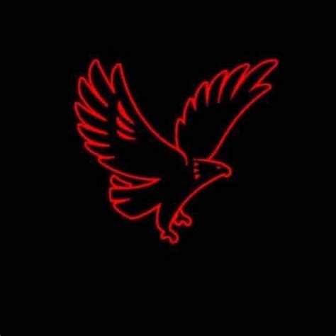 Mrahmed Elgendy Youtube