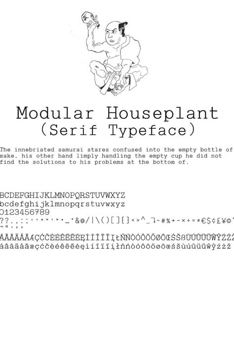 Modular Serif Monospace Font Siteoutsite