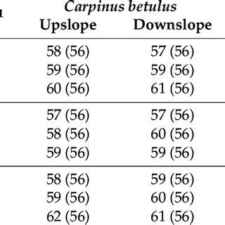 Total Number Of Root Measurements Attempted And In Parentheses The Download Scientific