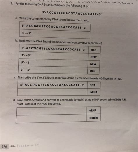 Solved 9 For The Following Dna Strand Complete The