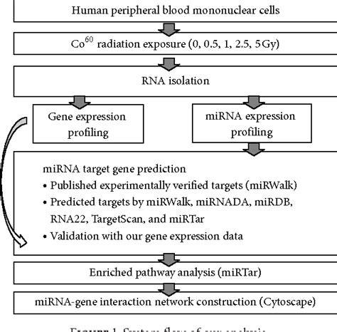 Figure 1 From Microrna Expression Profiling Altered By Variant Dosage Of Radiation Exposure