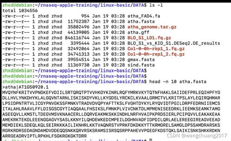 基因课 15天入门生物信息（2021年） 第三天 linux基础命令（3） csdn博客