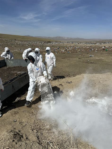 Дархан Уул Дархан Уул аймгийн Мал эмнэлгийн газар