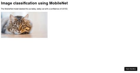 Ml5 Showcases Codesandbox