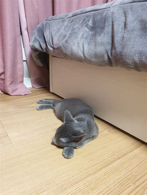 잠자는 자세