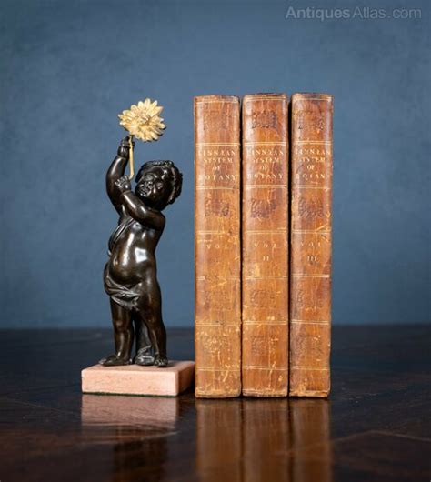 Antiques Atlas 1816 The Linnaean System Of Botany In Four Volumes As1132a804 7634