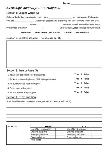 Igcse Biology 1b Prokaryotes Summary Sheet Teaching Resources