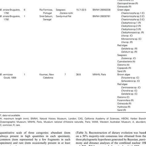 Reconstruction Of Dietary Evolution In The Cephalaspidea The Tree Download Scientific Diagram