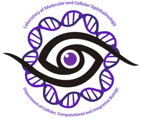 Laboratory Of Molecular And Cellular Ophthalmology Cellular Computational And Integrative