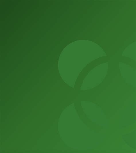 Reqtest Streamline Your Erp Projects