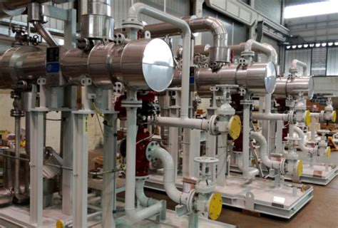 Adsorbent Bed Type Mercury And H2s Removal Units Repco Srl