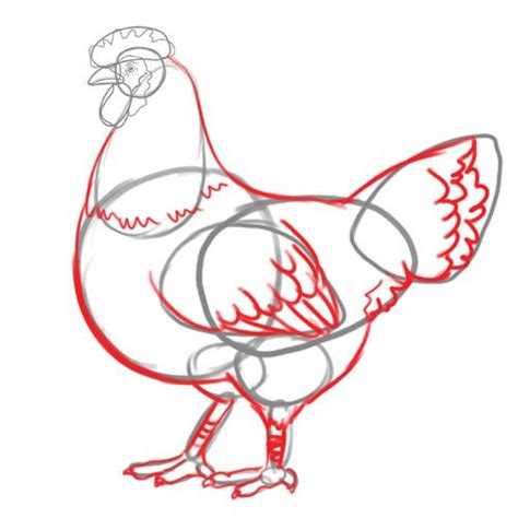 Chicken Drawing Tutorial Step By Step Guide