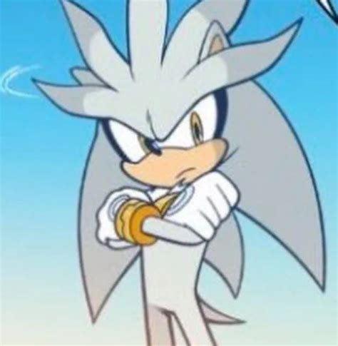 Pin By Macyjade On Sonic ⋆⋆ ♪♫🎧♫♪ ⋆⋆ Silver The Hedgehog Funny