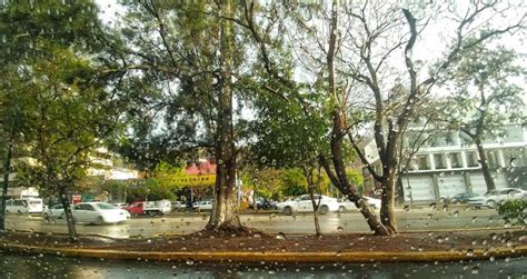 Calles Fracturadas E Inundaciones Resultado De Lluvia En Morelia