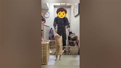 형아 찾으러 가자 🐶🕵️‍♂️🔭 Youtube