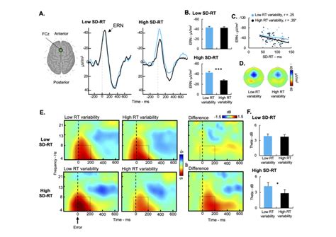 Neural Mechanisms Of Error Monitoring Processes A The Error Related Download Scientific