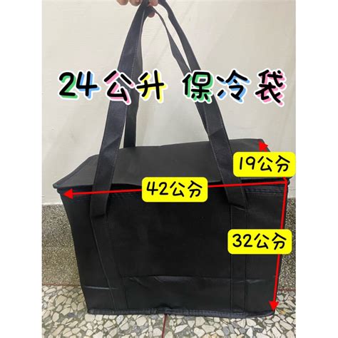 🔥俗擱大碗🔥超大容量保冰袋 24l 高cp值 露營必備 可訂製 購物袋 露營必備 野餐 保冷袋 保溫 蝦皮購物