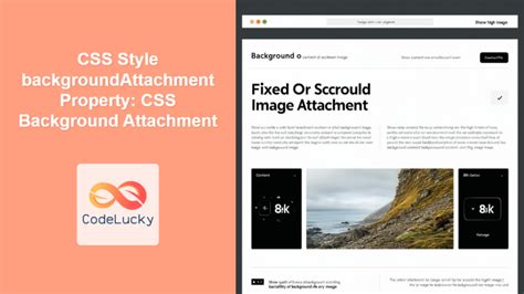 Css Style Backgroundorigin Property Css Background Origin Codelucky