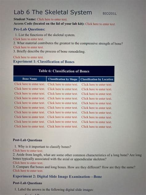 Solved Lab The Skeletal System BIO Student Name Chegg