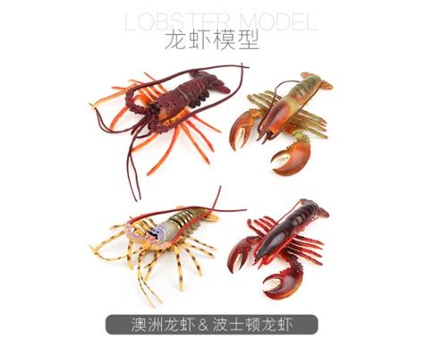 仿真龍蝦模型澳洲大號龍蝦海洋動物生物玩具波士頓大龍蝦道具擺件
