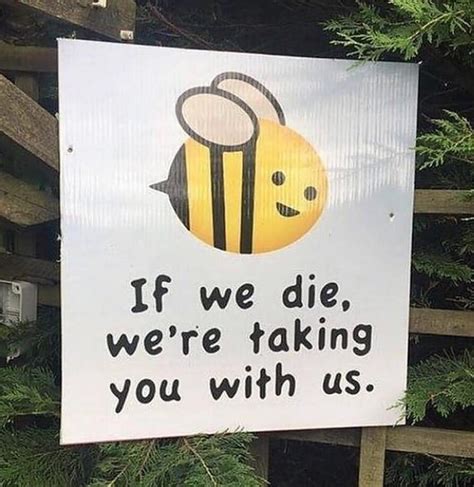 🐝einstein Bees Quote