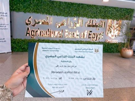 Nourhan Nabil On Linkedin Strategy