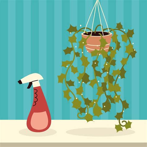 Premium Vector Hanging Houseplant And Spray