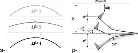A Schemes Of The Three Tips Used For The Analytic And Numeric