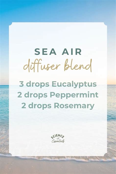 Pin By Anna Szerlak Fischer On Essential Oils Essential Oil Diffuser Blends Essential Oil