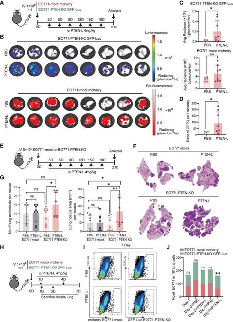 Journal Of Experimental And Clinical Cancer Research On Linkedin