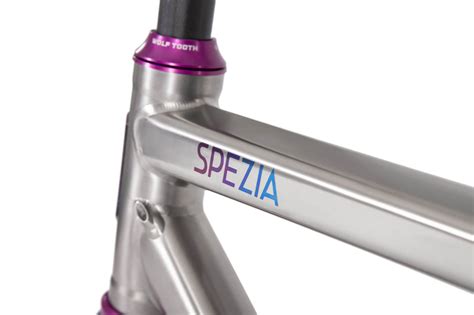 Litespeed Spezia Titanium Frame Performance Road Litespeed Bicycles
