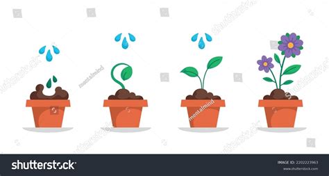 식물의 성장 클립 아트