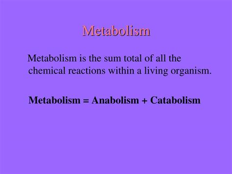 Ppt Microbial Metabolism Powerpoint Presentation Free Download Id